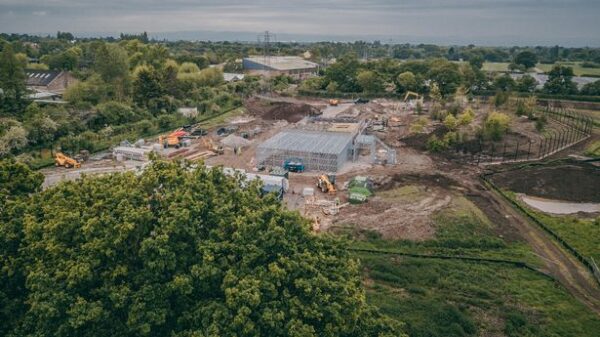 Lion Enclosure Chester Zoo - Construction Sealants Limited